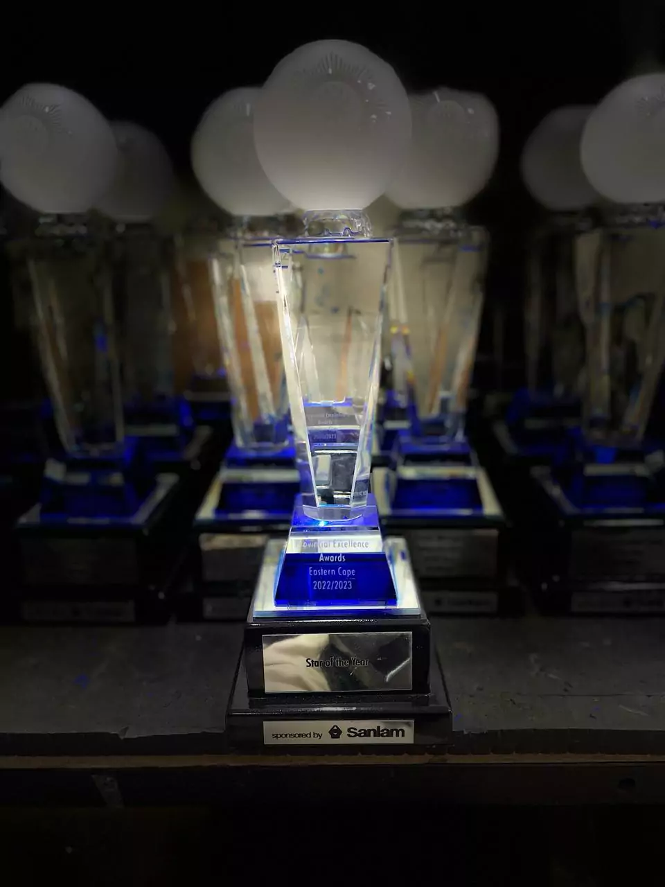 Our Gallery | Trophy Masterpieces